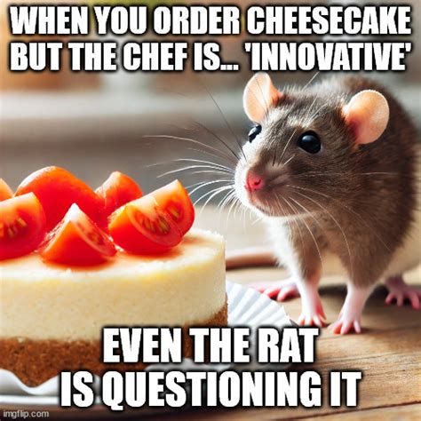 Cheesecake Memes And S Imgflip