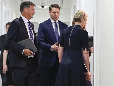 Liberals Considering Removing Leader Sussan Ley Are Split Between