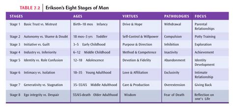 The 8 Stages Of Life 8 Stages Of Eriksons Theory Witdx