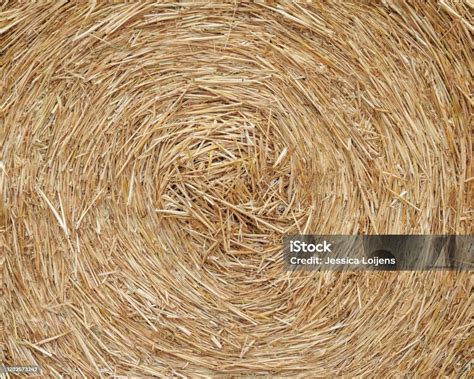 Tekstur Jerami Tampilan Samping Dari Bale Jerami Yang Digulung Di