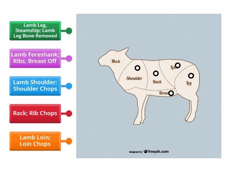 Cuts Of Lamb Labelled Diagram