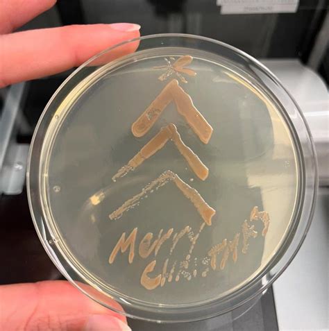 Arctech Archaea Microorganisms Microbiology Biotechnology