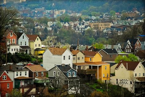 Tree Of Hill Pittsburgh At Tayla Shawna Blog
