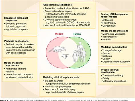 Figure 1 From The Translational Value Of Rodent Models Of Sepsis