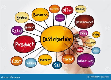 Distribution Mind Map Flowchart With Marker Business Concept For