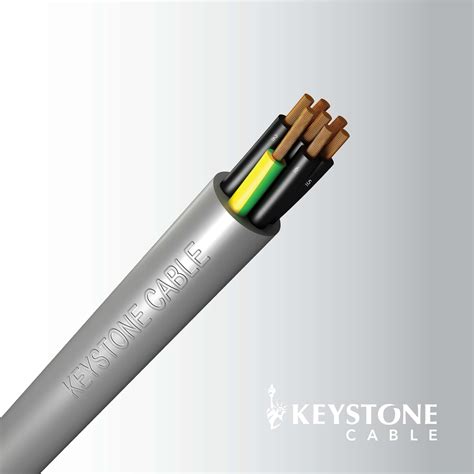 300 500v Multi Core Yslcy Pvc Insulated Braided Screen Pvc Sheathed Flexible Control Cable