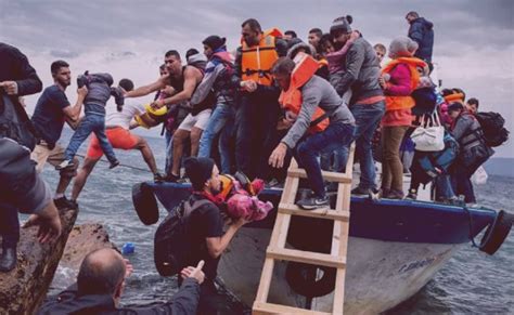 Discover What Is External Migration Characteristics Causes And Benefits