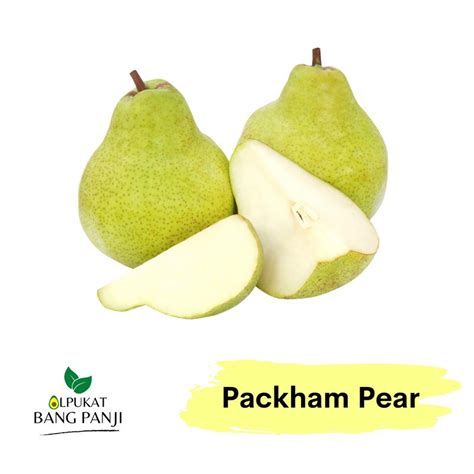 Jual Alpukat Bang Panji Pear Packam Afrika 1kg Shopee Indonesia