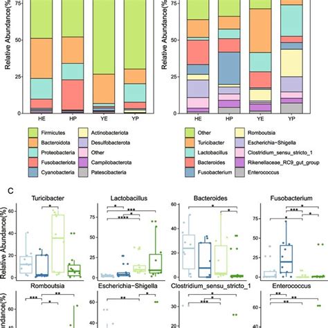A B Community Composition Of The Gut Microbiota Among Four Groups Of