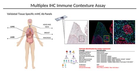 Multiplex Ihc