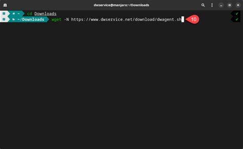 Linux Install The Agent With Credentials Console Dwservice Docs