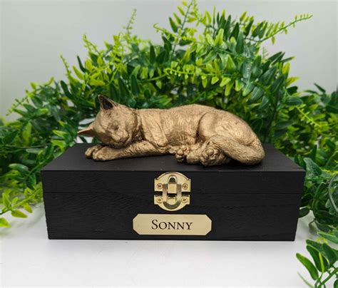 Luxury Cat Ashes Box Cat Ashes Urn Dog Ashes Urn Pet Urn Custom Name