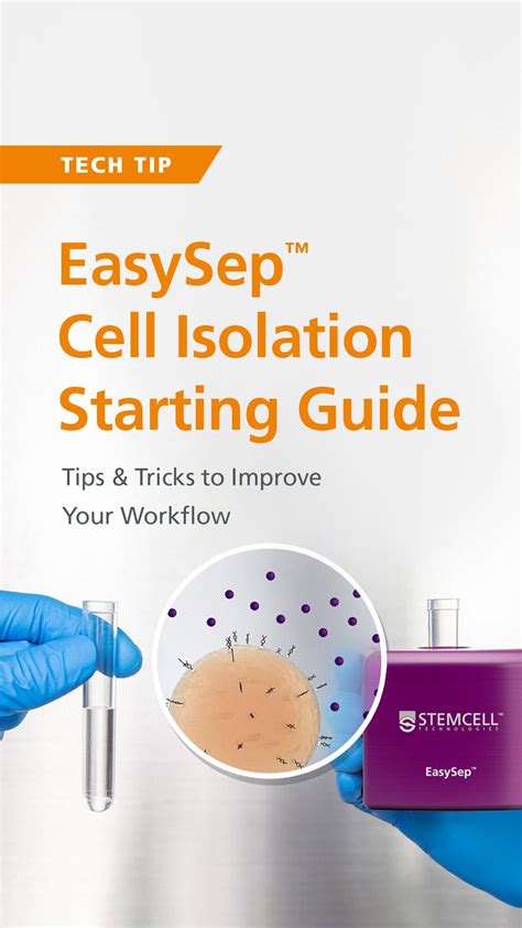 Stemcell Technologies On Linkedin Easysep™ Cell Isolation Starting Guide Tips And Tricks