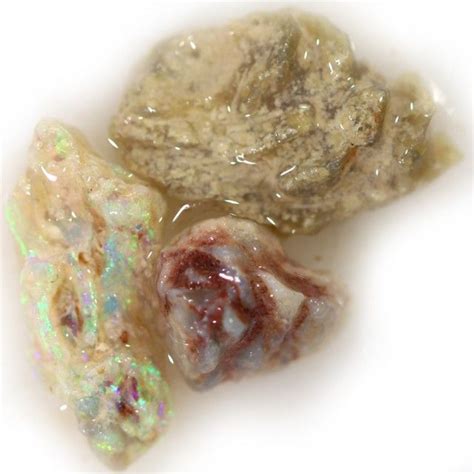 375 Cts Cycad Fossils Parcel From Lightning Ridge So9594 Lightning