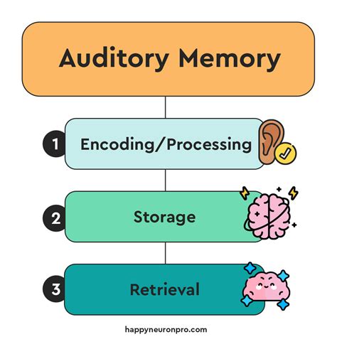 what is auditory memory happyneuron pro