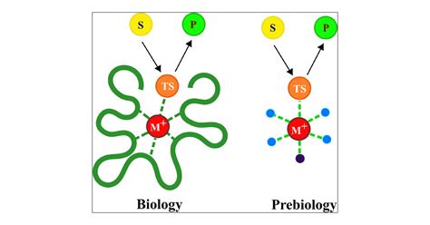 metals in prebiotic catalysis a possible evolutionary pathway for the