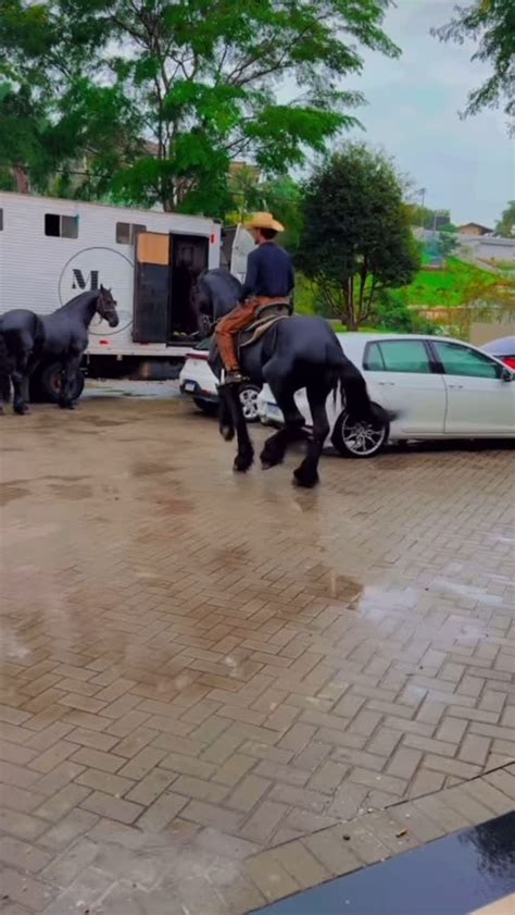 Busera Buseira Millhonario • Instagram Photos And Videos