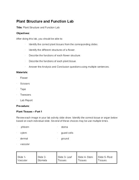 Copy Of Plant Structure And Function Lab Plant Structure And Function Lab Title Plant