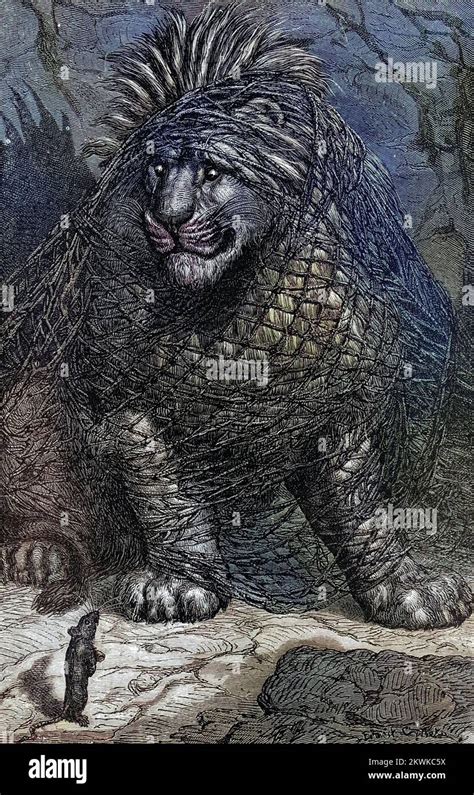 The Lion And The Mouse From Aesops Fables Illustrated By Joseph