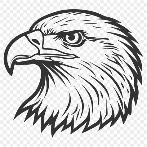 Free Eagle In Pdf Free Download