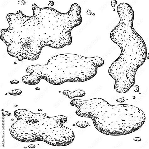 Water Puddle Set Hand Drawn Spill Isolated Rain Wet Splatter Pool