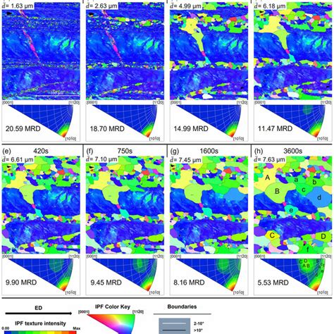 Ex Situ Ebsd Ipf Maps And Corresponding Ipfs Ed Of Mc10 Annealed For