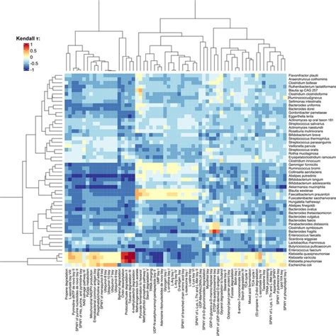 Functional Potential Of The Components Of The Gut Microbiome Networks