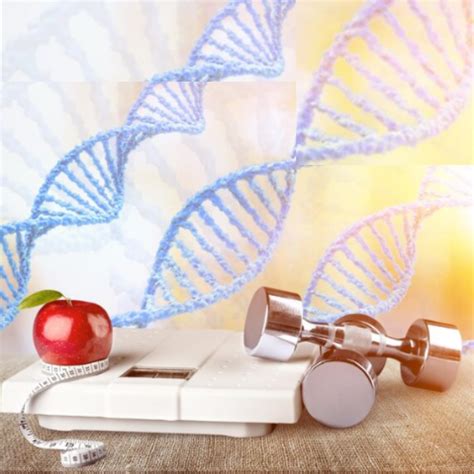 Nutrigenomics Program Dna Test Preventivehealthai