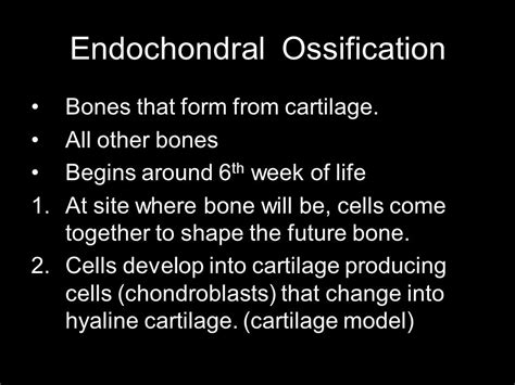 Endochondral Ossification Slide Solved Micrographs Show Endochondral