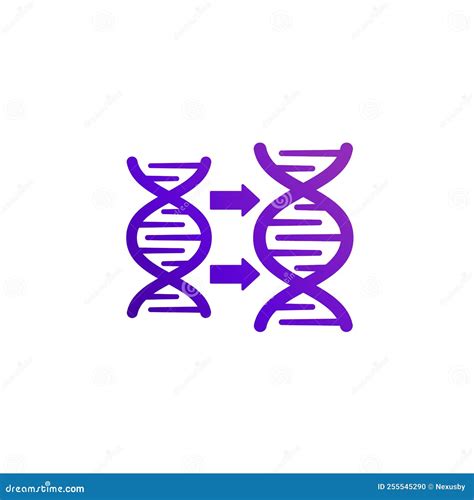 Dna Replication Icon On White Vector Illustration