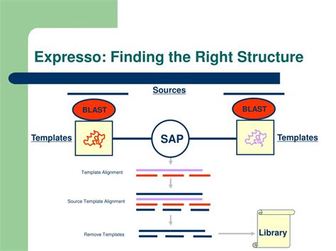 Ppt Using The T Coffee Multiple Sequence Alignment Package I