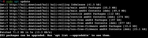 How To Safely Update Kali Linux