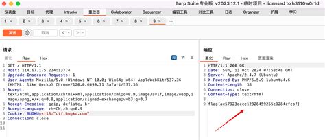 bugku ctf 点login咋没反应（php序列化） 知乎