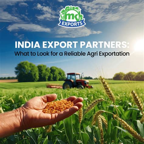 What Makes Great India Export Partners Lessons From The Agri Export Industry › Mk Exports