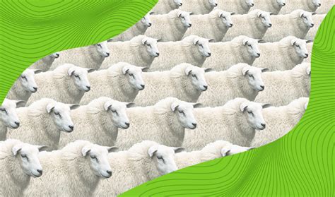 Considering Cloning Combat Data Bloat With File Transfers Instead Webroot