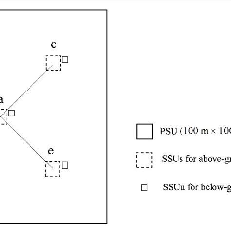 The Primary Sampling Unit Psu And Secondary Sampling Units Ssus