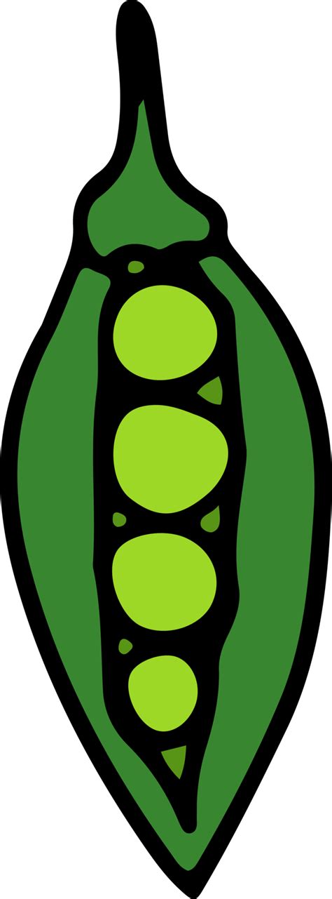 Chícharos Dibujo Aislado 22588063 Png