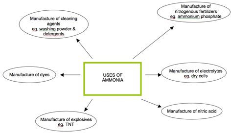 Chemistry Assignment Ammonia