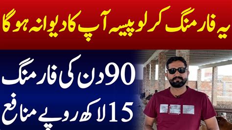 Bachra Farming Business Idea In Pakistan Youtube