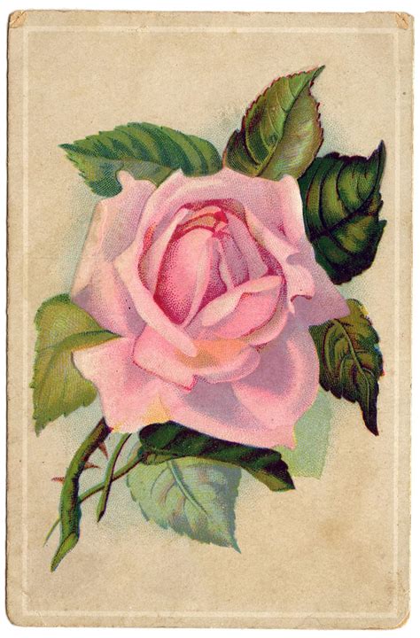 Vintage Rose Design