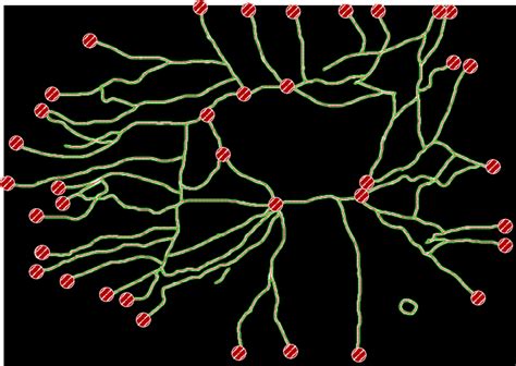 Representation Of A Realistic Synthetic Network This Network Is Based