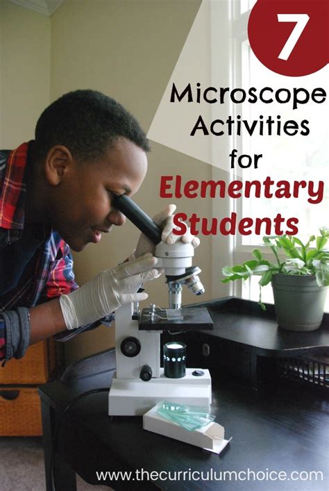 7 Fun Microscope Activities For Homeschool Elementary Students The