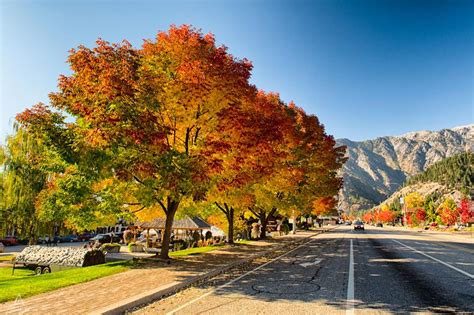 Heres The 2022 Washington Fall Colors Map