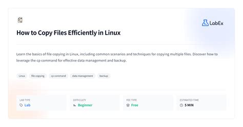 how to copy files efficiently in linux labex