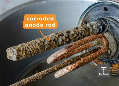 How Long Should An Anode Rod Be