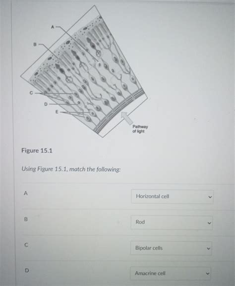 Solved Figure Using Figure Match The Chegg Com