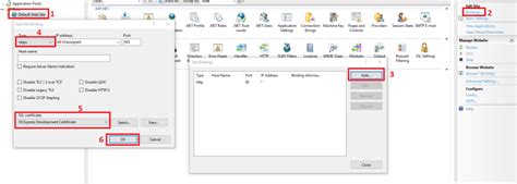 Publishing Spa Application Aspnet Core Angular On Iis Server Dev