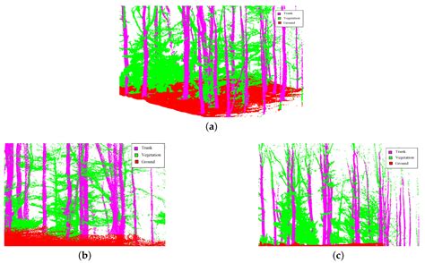 Automatic Detection And Parameter Estimation Of Trees For Forest
