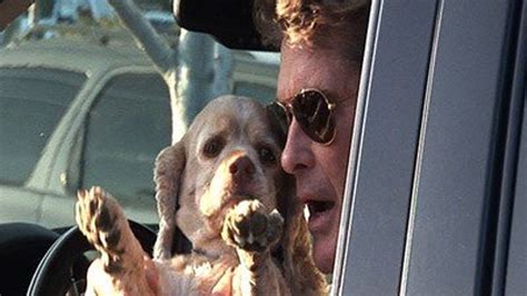 David Hasselhoff Doggy Ventriloquist