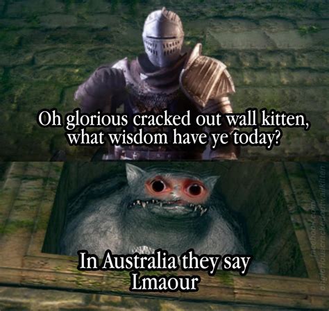Glorious Cracked Out Wall Kitten Blank Template Imgflip